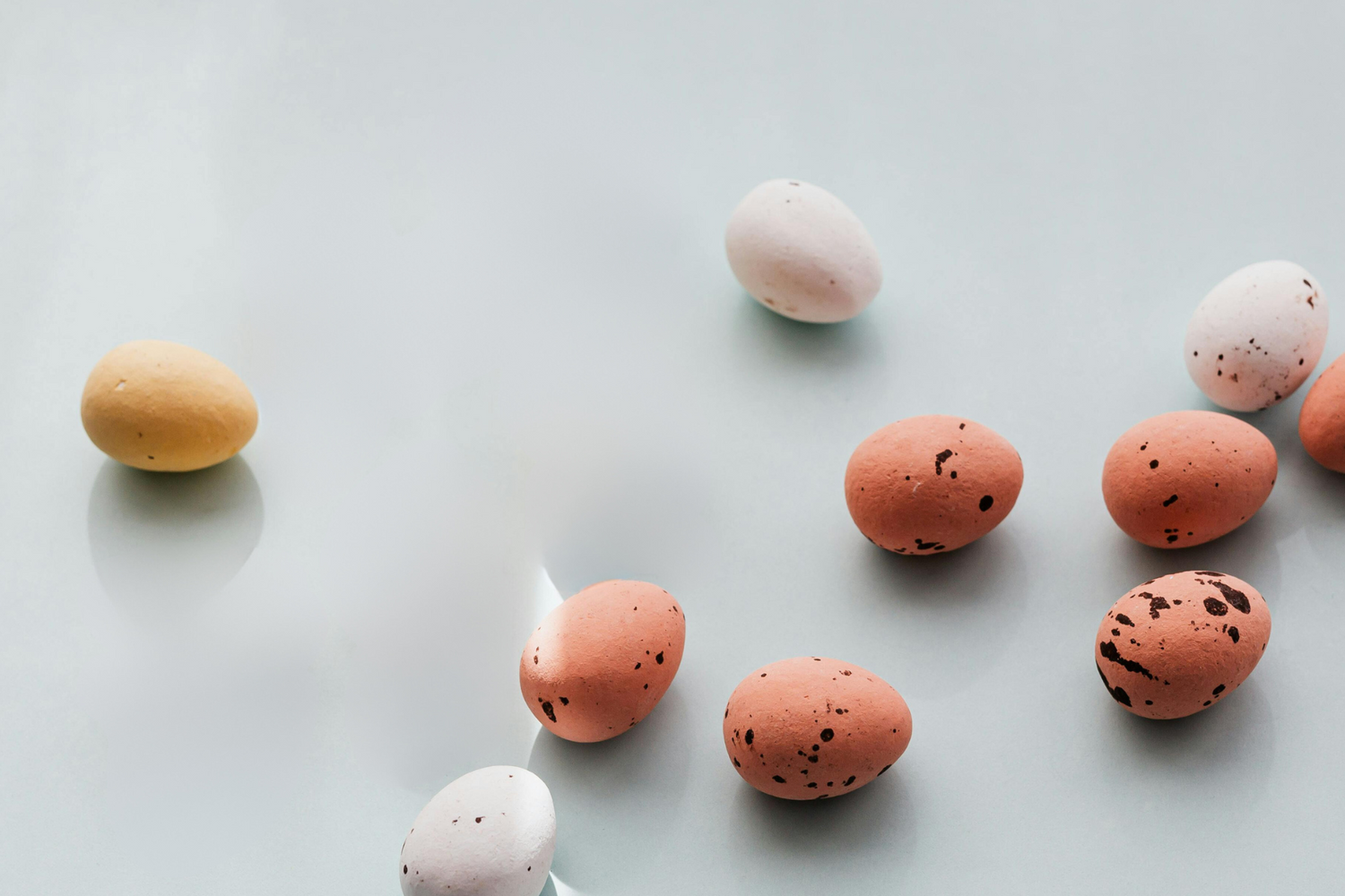 Egg Quantity vs. Egg Quality—What Matters for Fertility? | Bird&Be