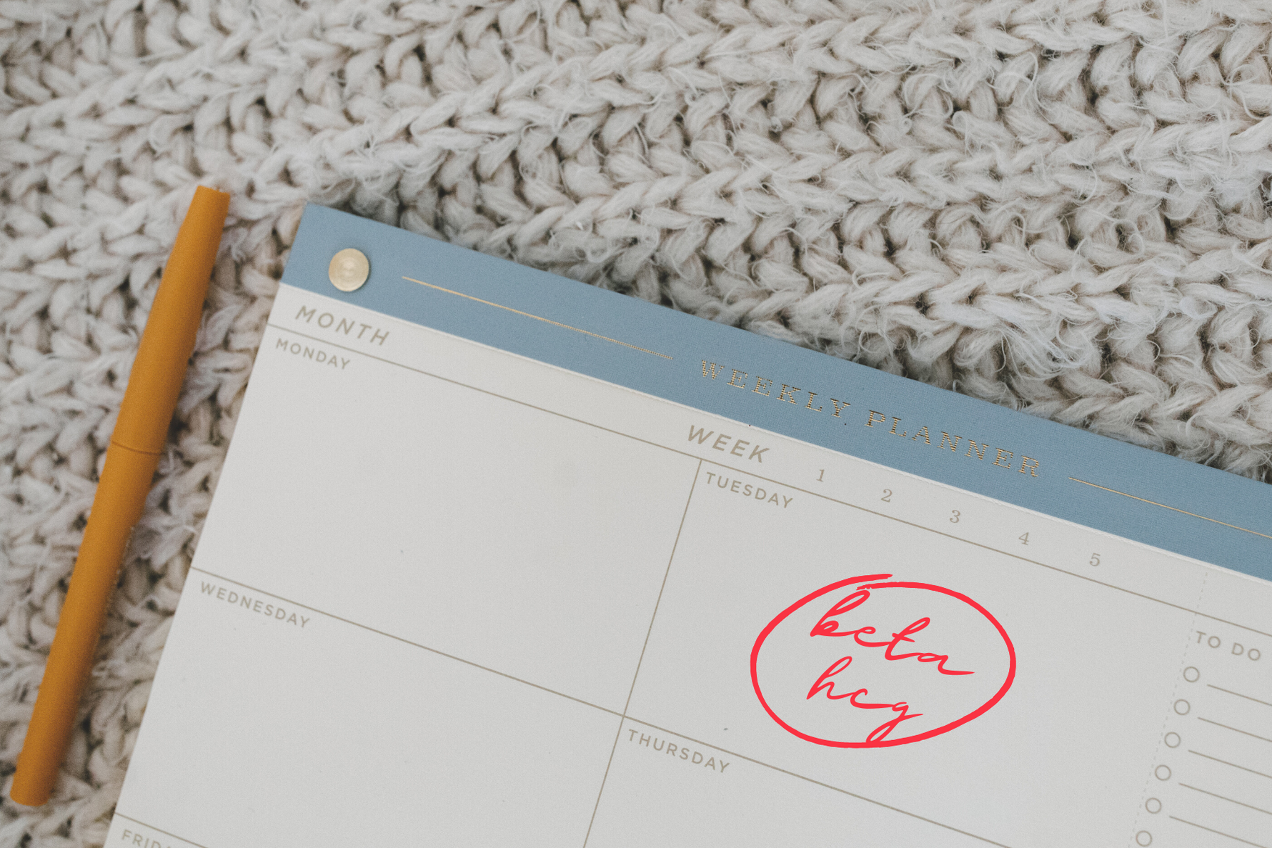 What Is a Good Beta hCG Level After Embryo Transfer? | Bird&Be