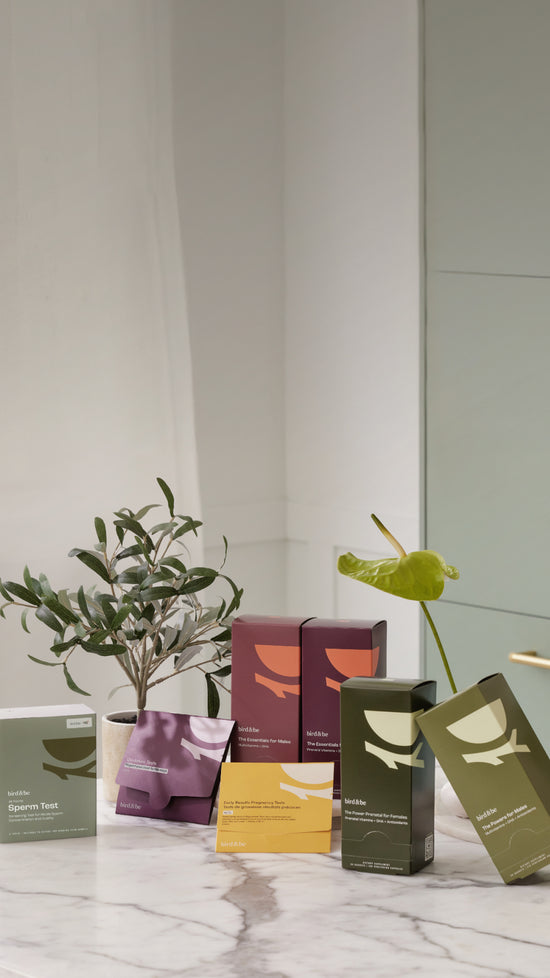's Shop – Bird&Be