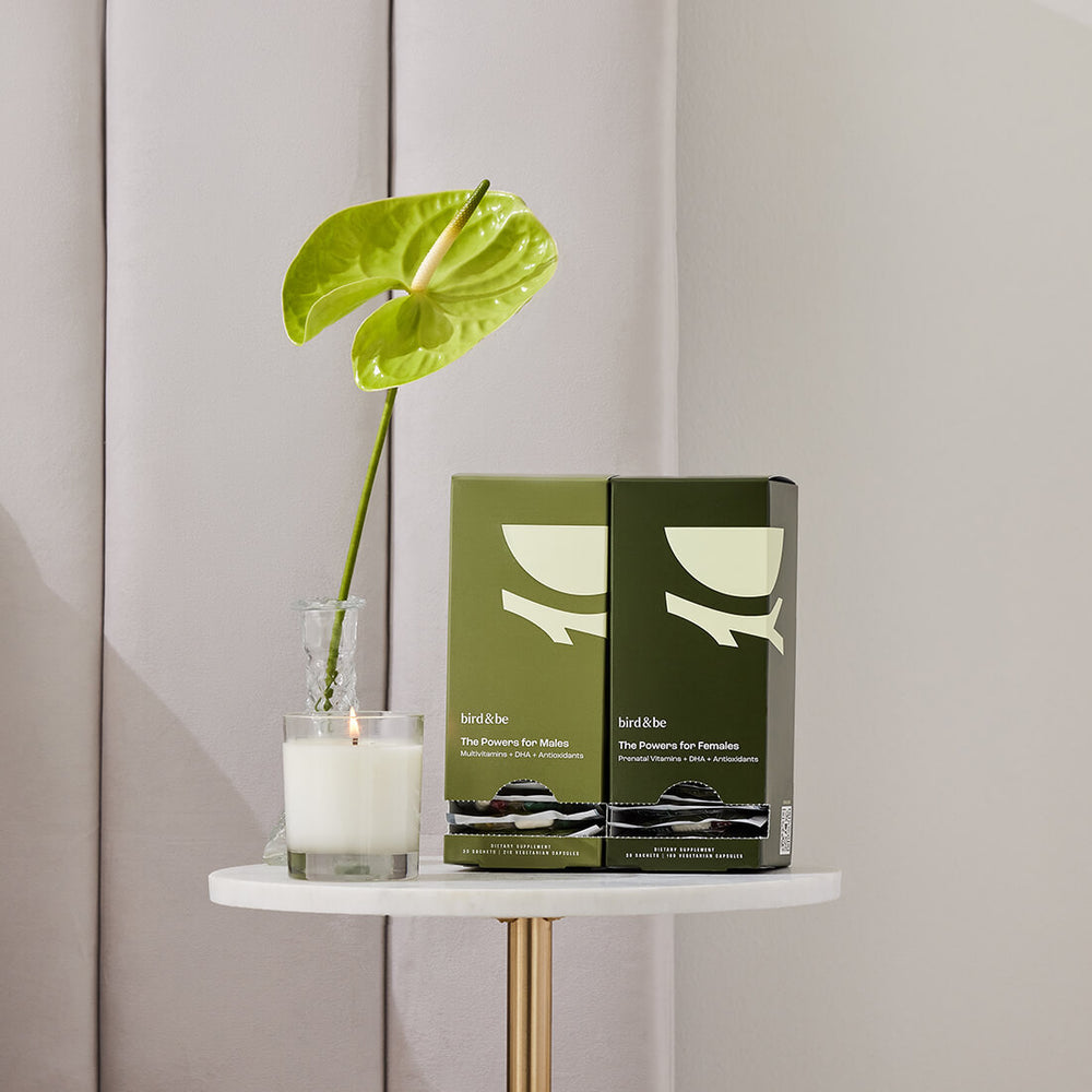 Find Your Perfect Prenatal – Bird&Be