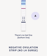 How to Read Ovulation Test Results | Bird&Be