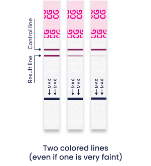 How to Read Pregnancy Test Results | Bird&Be